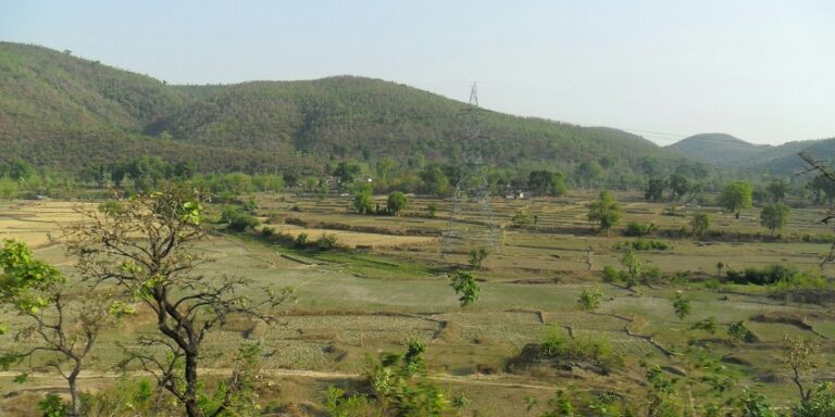 Padma Fort: An Insight Into The Royal Grandeur And History - TripXL