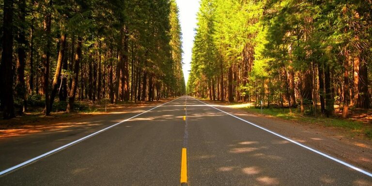 Yaganti Temple: The Ancient Cave Temple In Andhra Pradesh - TripXL