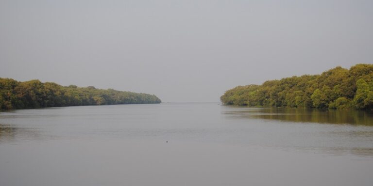 Papikonda National Park: Explore And Reconnect With Nature - TripXL