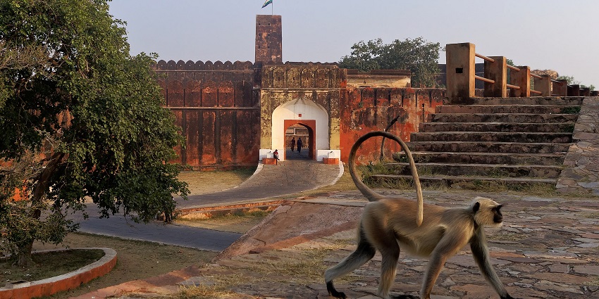 Top 10 Places To Visit In Jaipur With Family: A Perfect Outing - TripXL