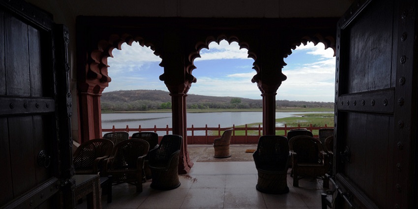 Night Safari In Ranthambore For All Adventure Enthusiasts - TripXL