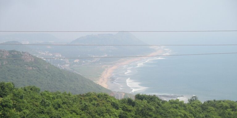 Kaiwara National Park: Hop On An Enthralling Excursion - TripXL