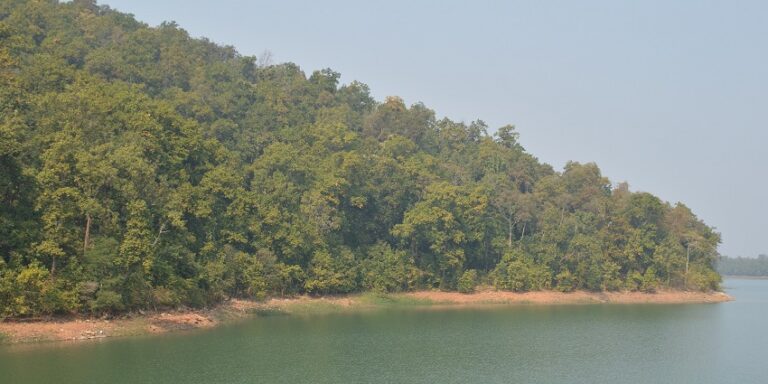 Discover The Spiritual Essence Of Kapilash Temple, Odisha - TripXL