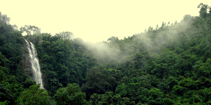 10 Srikakulam Waterfalls: A Guide To Nature’s Hidden Gems - TripXL