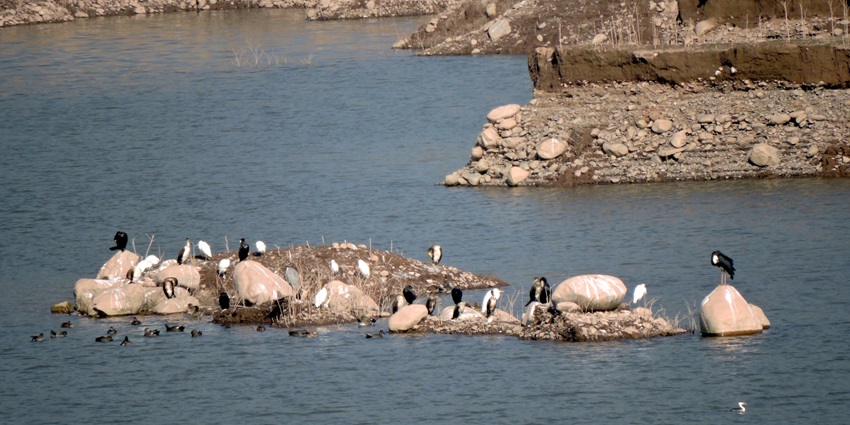 12 Places To Visit In Kalka: Discover The Top Attractions - TripXL