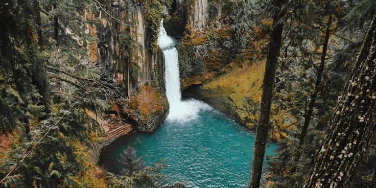 Discover Top Places To Visit In Rewa For An Amazing Experience - TripXL