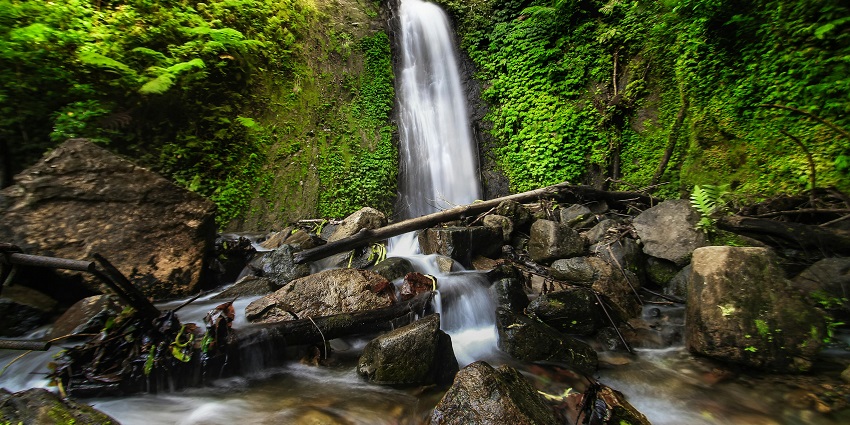 Waterfalls In South Goa: Nature’s Breathtaking Beauty Awaits - TripXL