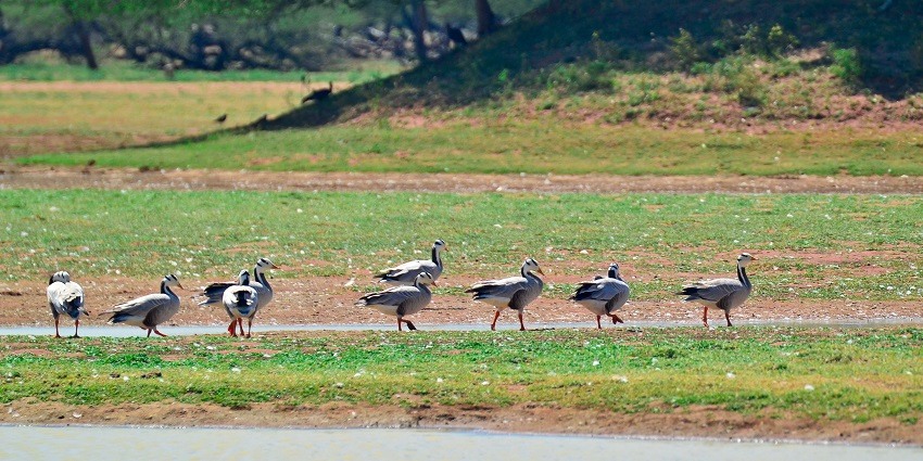 13 Places To Visit In Eluru: Discover Beauty And Culture - TripXL