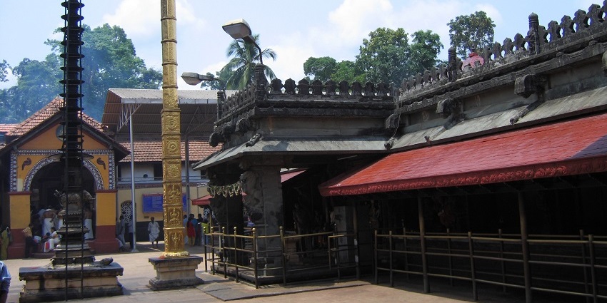 Mookambika Wildlife Sanctuary: Hike Through The Dense Forest - TripXL