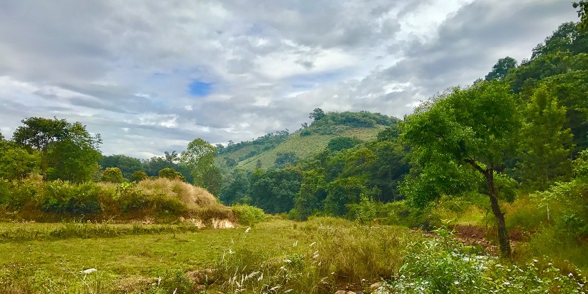 10 Best Hill Stations In Andhra Pradesh: Adventure In The Hills - TripXL