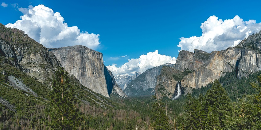 Indravati National Park: A Detailed Guide About This Gem - TripXL