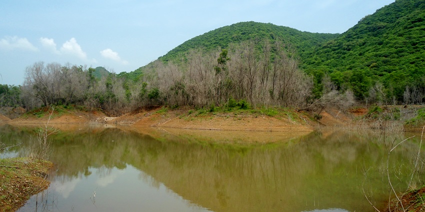 Kammasandra Wildlife Sanctuary: Your Gateway To Nature And Wildlife ...