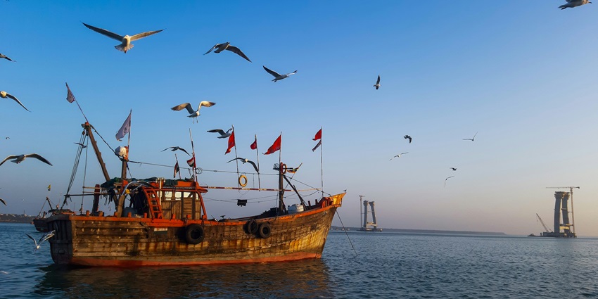 Guide To Dwarka Underwater Museum: Endless Aquatic Adventures - TripXL