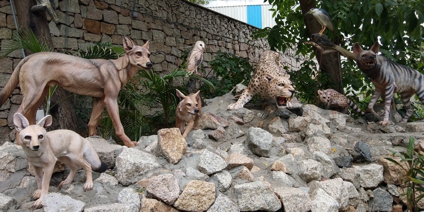 Kankaria Zoo: Ahmedabad’s Top Tourist Destination - TripXL