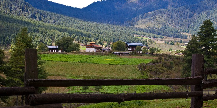 Serene Phobjikha Valley In Bhutan: Your Comprehensive Guide - TripXL