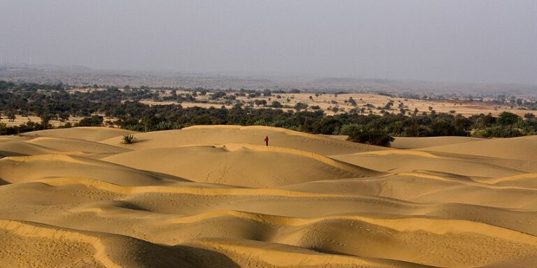 Osian Desert Safari: Explore The Charm Of The Thar Desert - TripXL