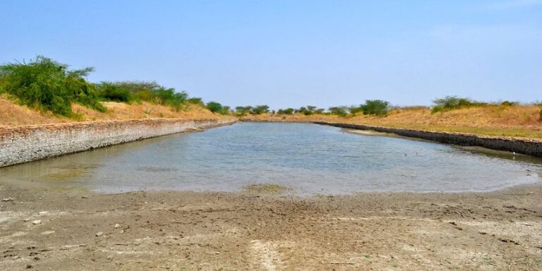 Weekend Places In Gujarat: 13 Breathtaking Places To Explore - TripXL