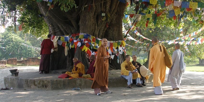13 Famous Festivals In Andhra Pradesh: Witness Local Festivities - TripXL