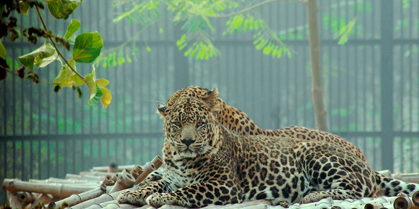 14 Places To Visit In Shivpuri For A Mesmerising Escapade - TripXL