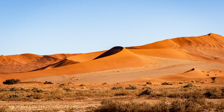 Top 13 Places To Visit In Barmer: Rajasthan’s Desert Wonders - TripXL