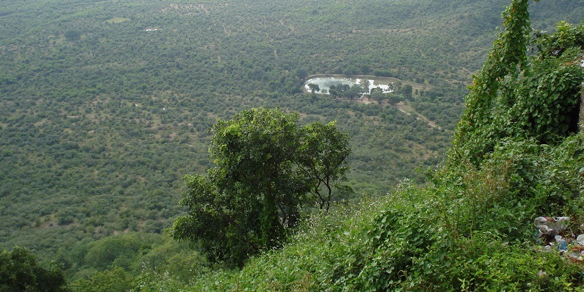 Maihar Temple: Head To Seek Blessings Of Goddess Sharda - TripXL
