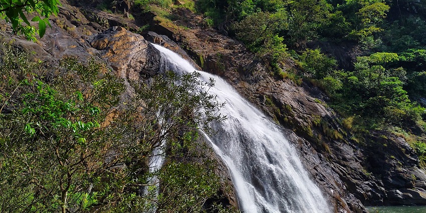 Waterfalls In South Goa: Nature’s Breathtaking Beauty Awaits - TripXL