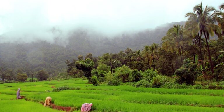 The 12 Best Places To Visit Near Goa Within 50 Km - TripXL