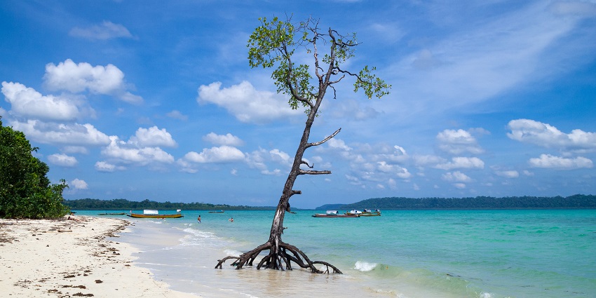 Hidden Beaches In North Goa: Discover Coastal Treasures - TripXL