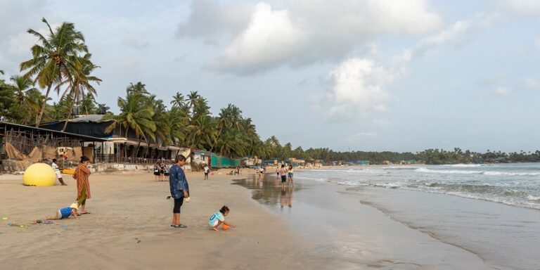 10 Famous Beaches In South Goa With Serenity And Beauty - TripXL