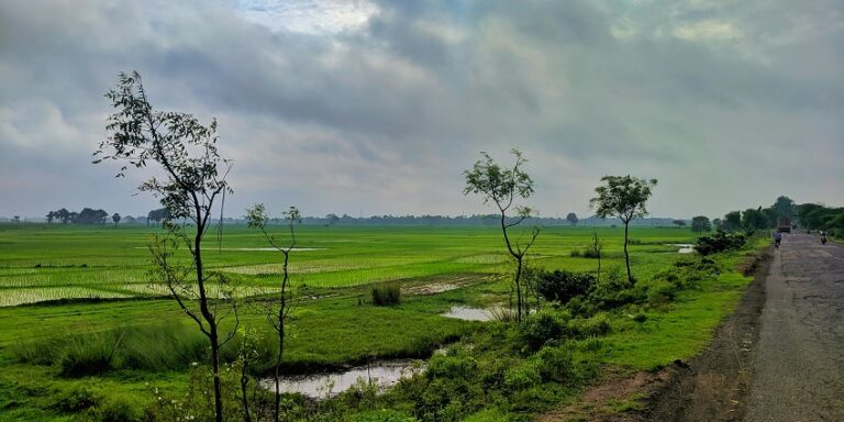 13 Places To Visit In Eluru: Discover Beauty And Culture - TripXL