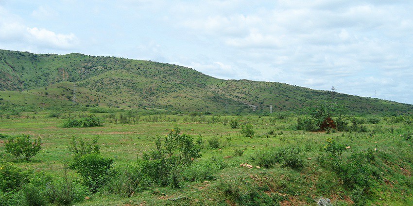 13 Best Places To Visit In Chirala: Explore The Hidden Treasures - TripXL