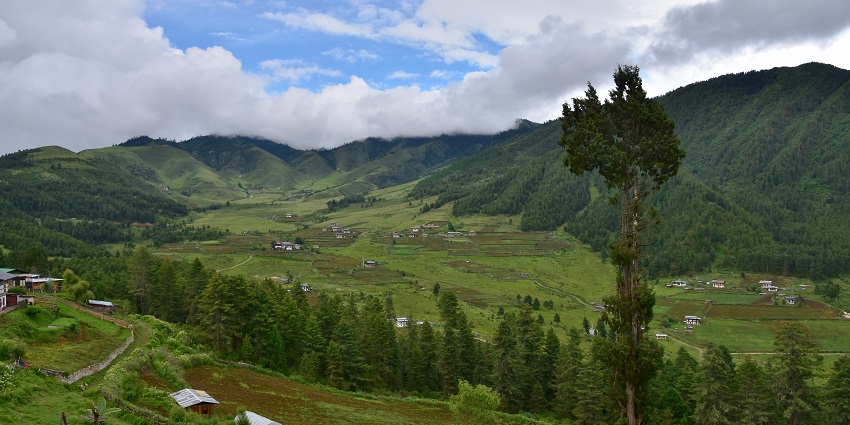 Serene Phobjikha Valley In Bhutan: Your Comprehensive Guide - TripXL