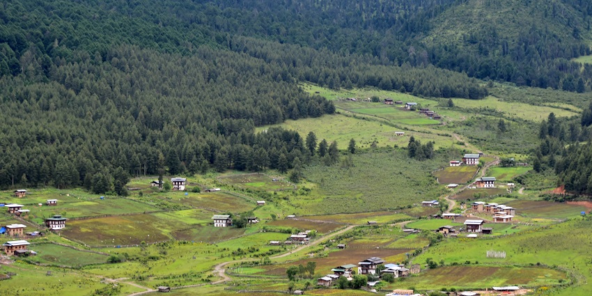 Serene Phobjikha Valley In Bhutan: Your Comprehensive Guide - TripXL