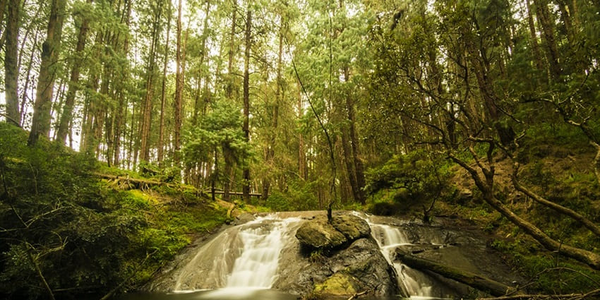 12 Things To Do In Maredumilli: Explore This Underrated Spot - TripXL