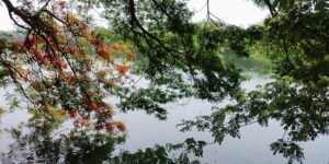 14 Places To Visit Near Shirdi Within 200 Km On Your Trip - TripXL