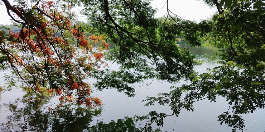 14 Places To Visit Near Shirdi Within 200 Km On Your Trip - TripXL