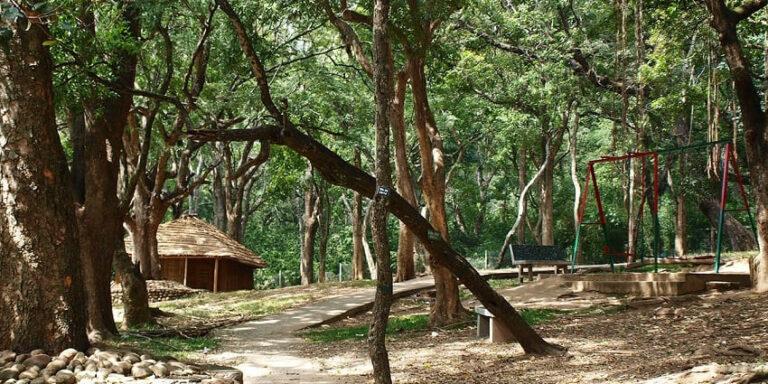 10 Places To Visit In Vijayawada For Perfect Natural Embrace - TripXL