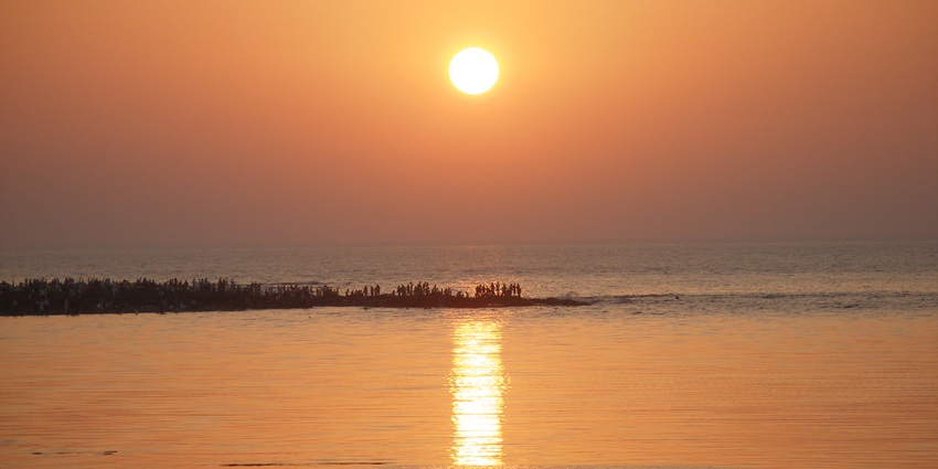 15 Places To Visit Near Virar For A Natural Getaway - TripXL