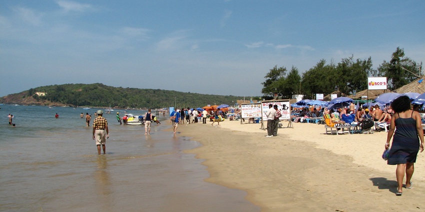 Top 10 Things To Do In Baga Beach Goa For A Vibrant Holiday - TripXL