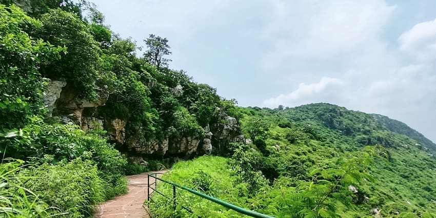 Hill Stations Near Bihar For An Unforgettable Experience - TripXL