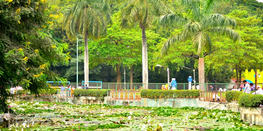 Places To Visit Near Viman Nagar That You Must Check Out - TripXL