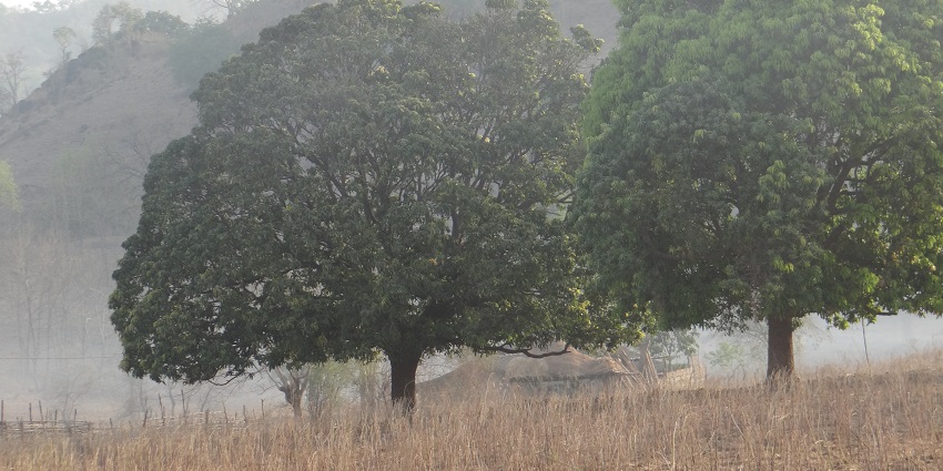 Top 10 Wildlife Sanctuaries In Gujarat: Step Into The Wild - TripXL