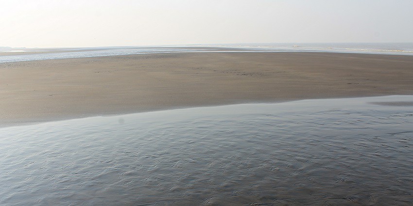 Top 10 Beaches Near Vadodara With Serenity And Natural Beauty - TripXL