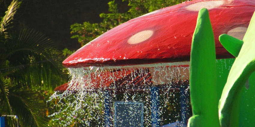 Water Parks In Jalandhar: Splash Into Fun And Adventure - TripXL
