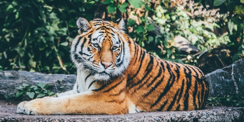14 Places To Visit In Hoshiarpur For An Amusing Vacation - TripXL