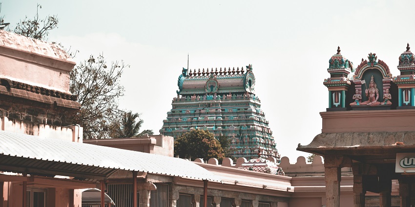 Best Things To Do In Nellore: A Complete Guide - TripXL