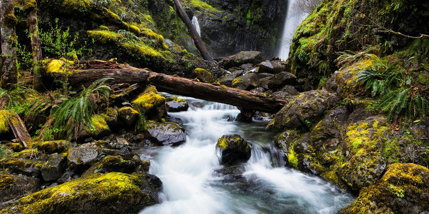 Ghagra Waterfalls: A Detailed Guide For Nature Enthusiasts - TripXL