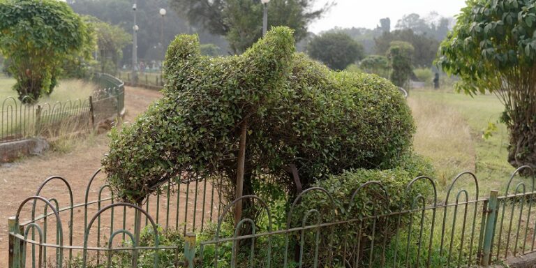 14 Best Places To Visit In Hisar: Haryana’s Legacy - TripXL