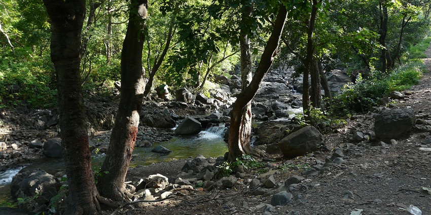 15 Places To Visit Near Virar For A Natural Getaway - TripXL