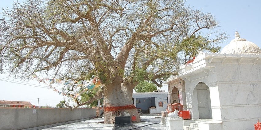 Places To Visit In Puttaparthi: Guide For All The Travelers - TripXL